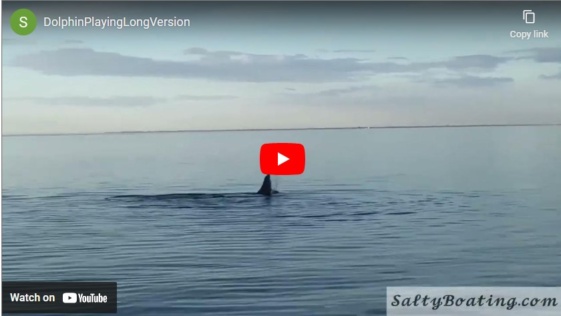 Daiwa S500JP 23 Leo Blitz Electric Reel Review – Salty Boating