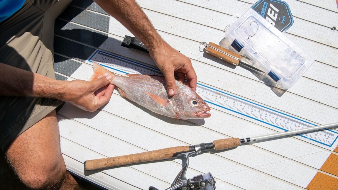 Air Chair Zup Multi Sport Board Review – Salty Boating