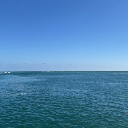 Sougayilang Catfish Rod Review - Salty Boating