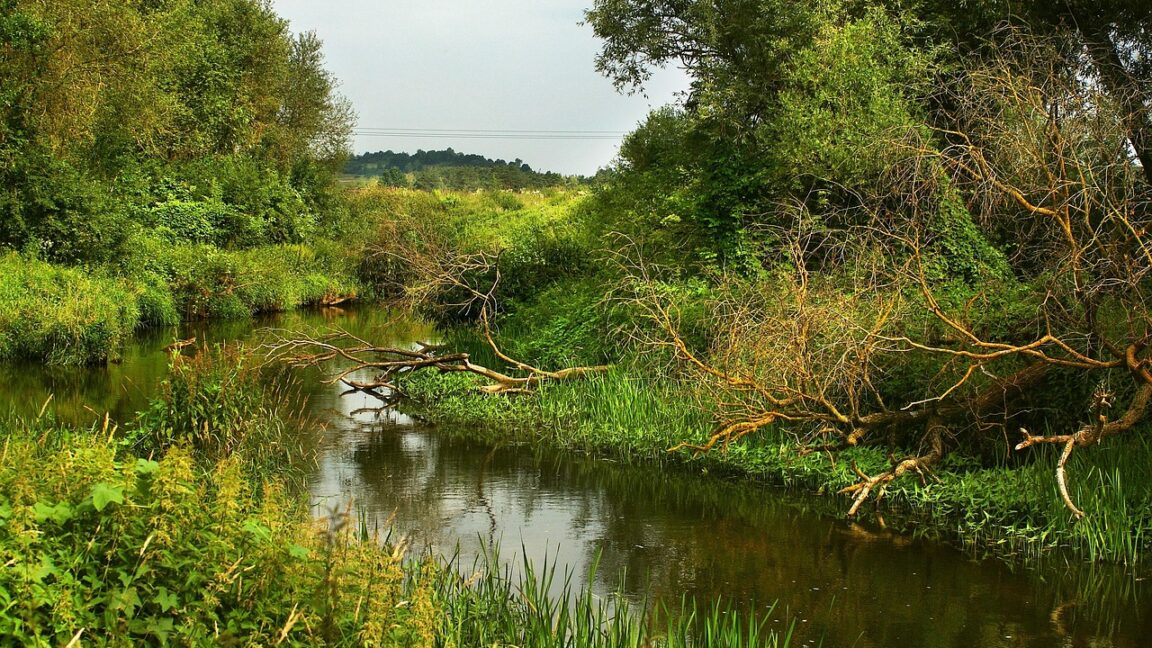 Wulcea Graphene Heated Jacket Review – Salty Boating